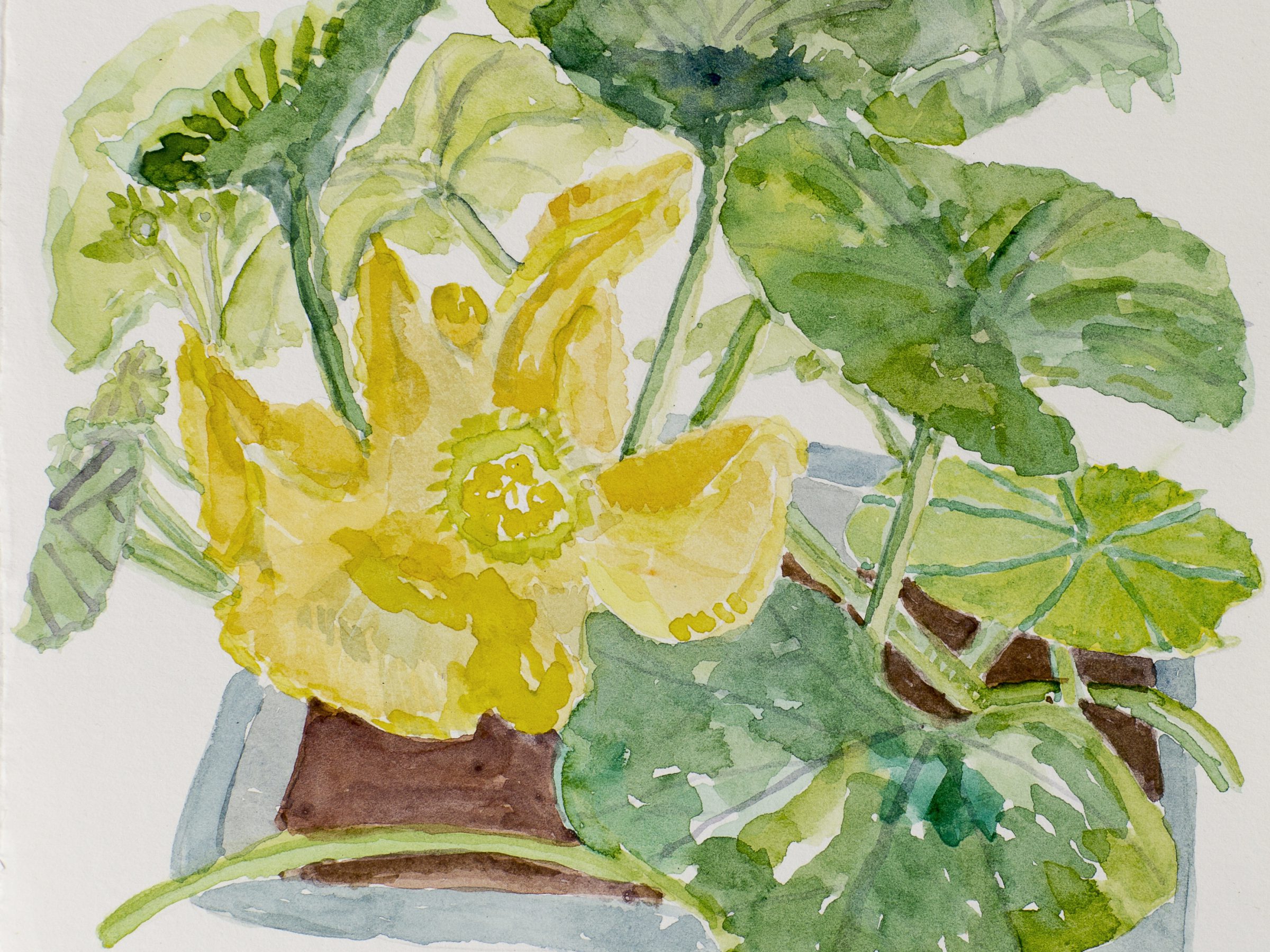 Don’t Goat the Goard – Kerry Hugins | Art